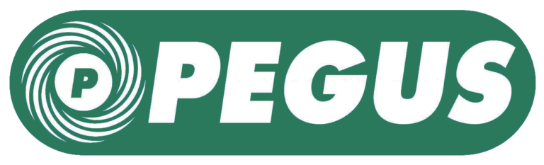 P550 | Pegus Systems USA
